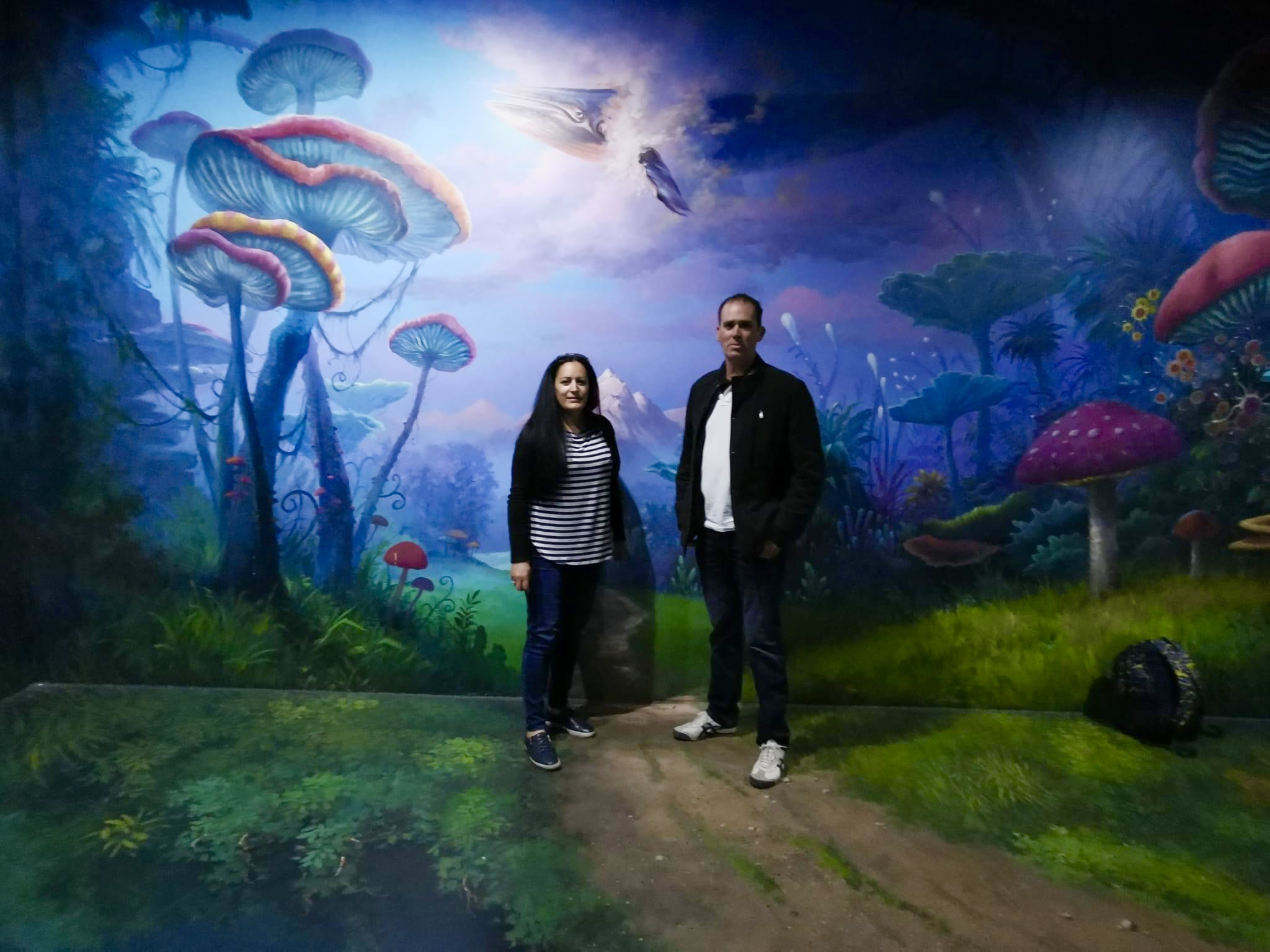 ArtVo - NewStars Elite