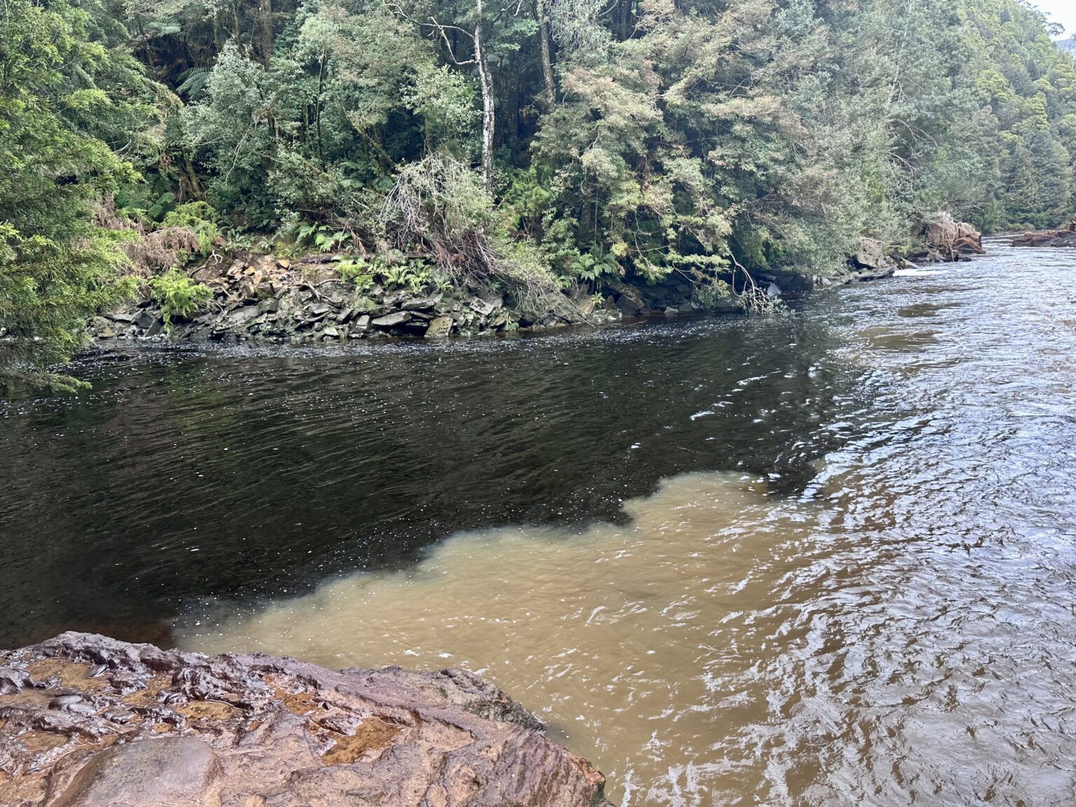 The Confluence - NewStars Elite